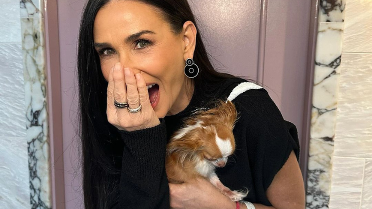 Conheça Pilaf, cachorrinha “luxuosa“ de Demi Moore - R1