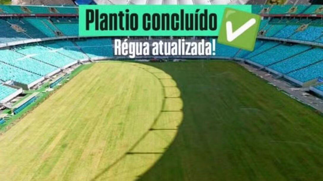 Fonte Nova finaliza plantio do novo gramado - R1